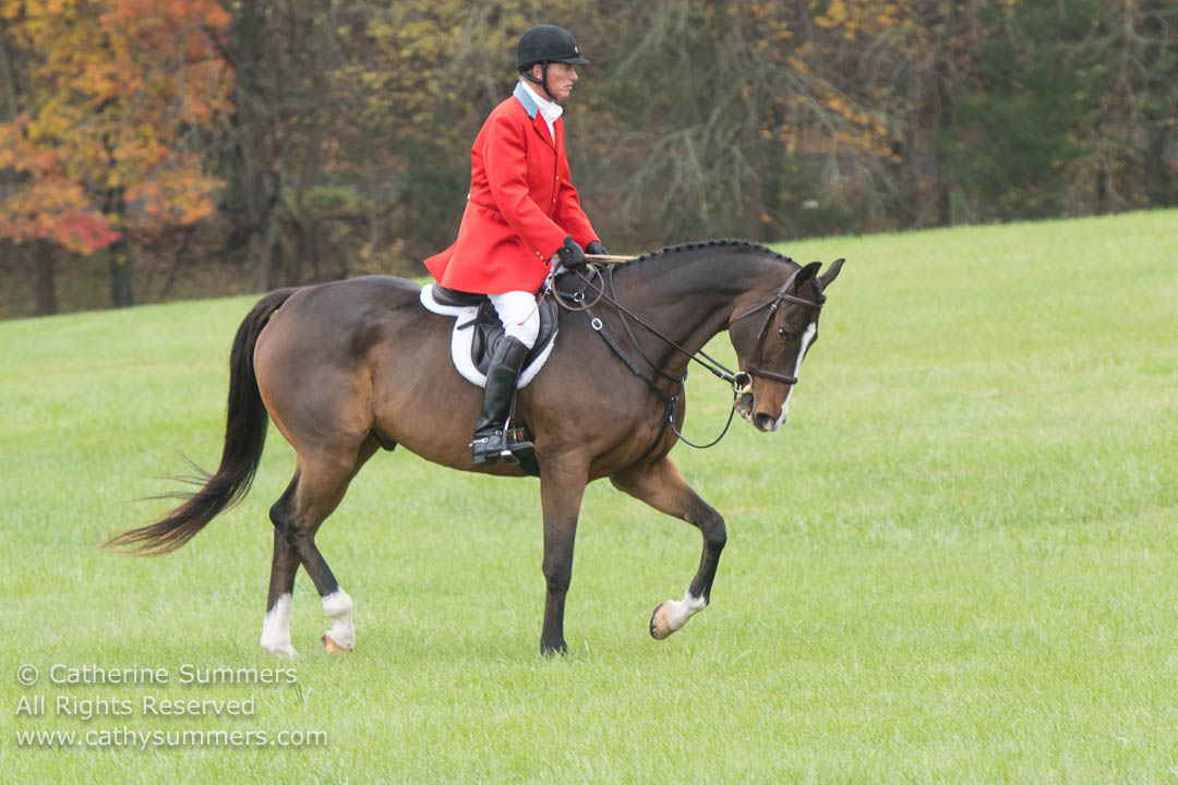 From the 2017 Virginia Field Hunter Championships gallery at ...