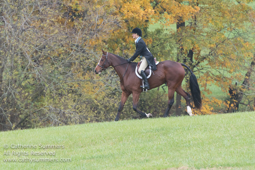From the 2017 Virginia Field Hunter Championships gallery at ...