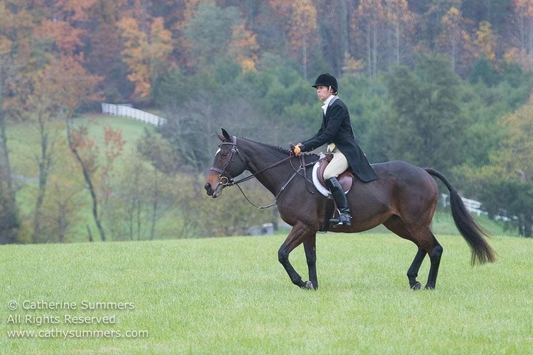 From the 2017 Virginia Field Hunter Championships gallery at ...