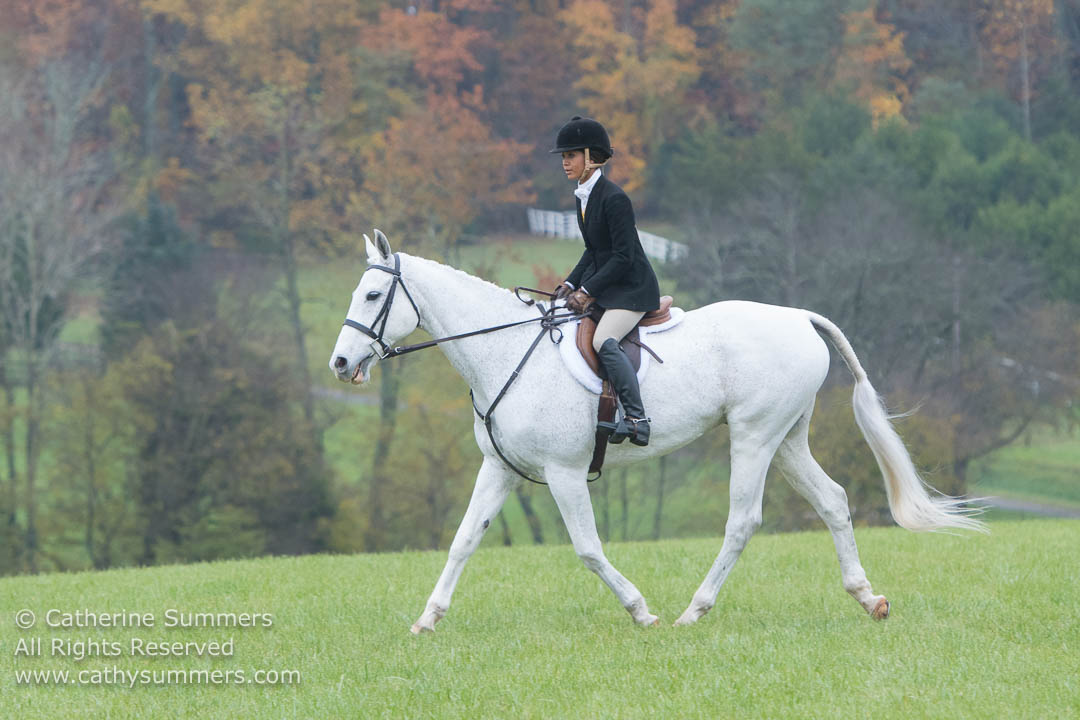 From the 2017 Virginia Field Hunter Championships gallery at ...