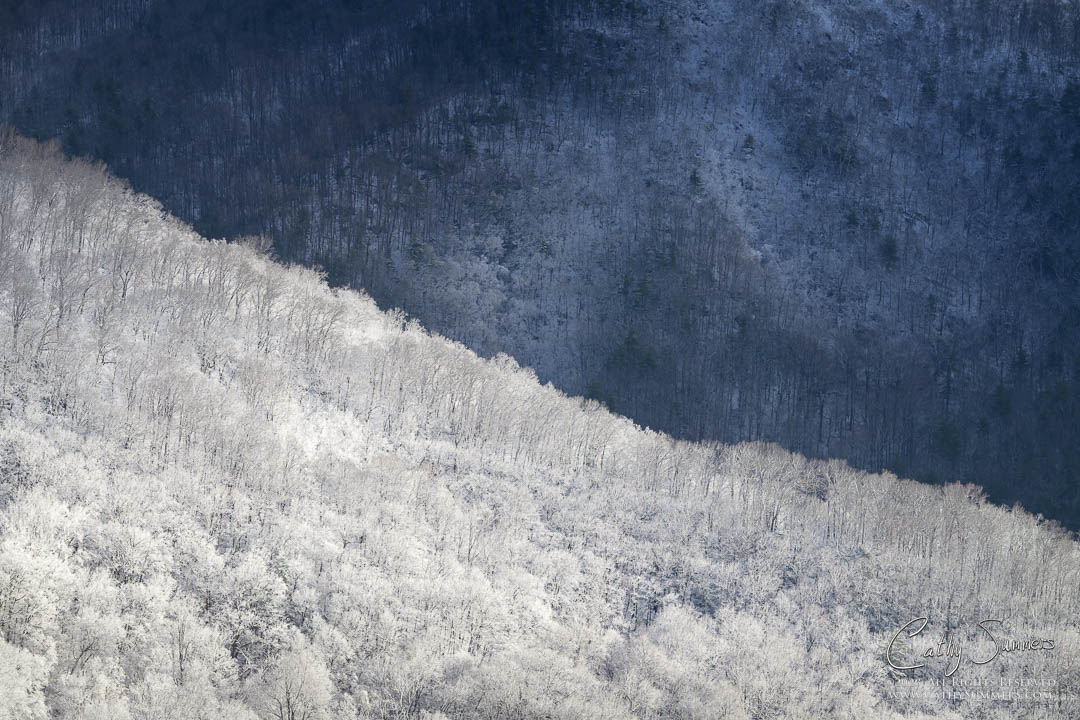 From the Shenandoah National Park gallery at CathySummers.com.